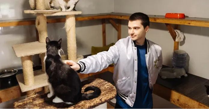 RAMZES666 про возвращение на про-сцену