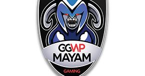 MayaM распрощались с CS:GO составом